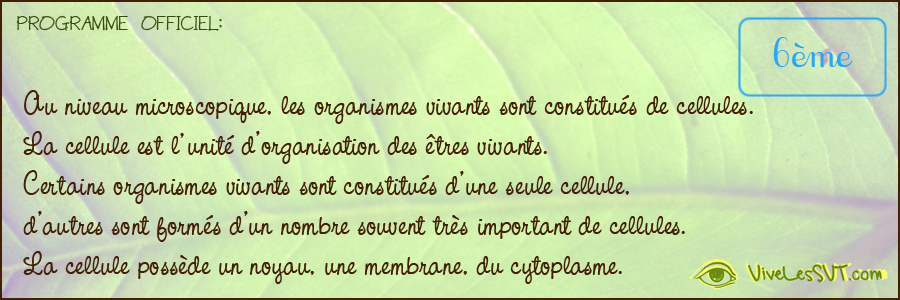 diversité et unité des êtres vivants 3ème controle PDF Cours,Exercices ...