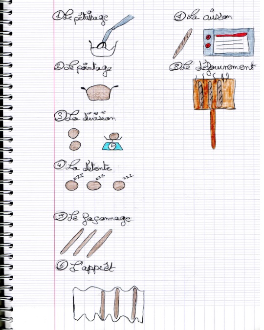 La production alimentaire par une transformation biologique - Cours SVT ...