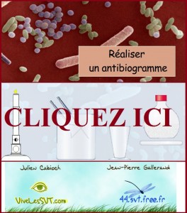 réaliser un antibiogramme SVT microbe | Vive les SVT ! Les sciences de ...