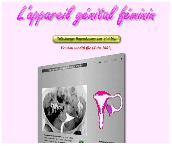 Appareil Génital Féminin Vive Les Svt Les Sciences De La Vie Et De