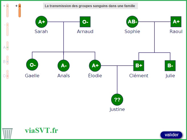 Gène | Vive les SVT