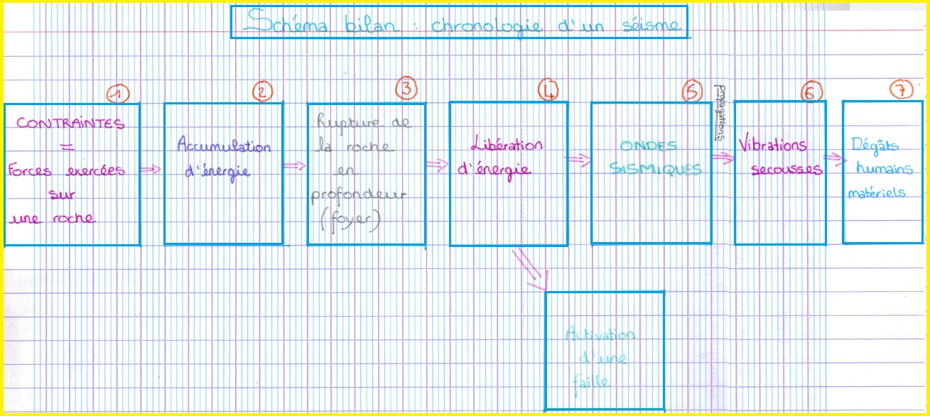 Les séismes - cours de SVT 4ème | Vive les SVT