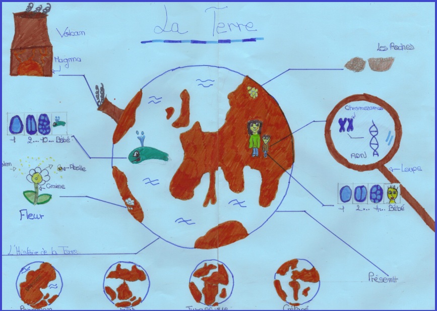 Evolution des Organismes et Histoire de la Terre - cours SVT | Vive les ...