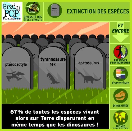 extinction des espèces animation | Vive les SVT ! Les sciences de la ...