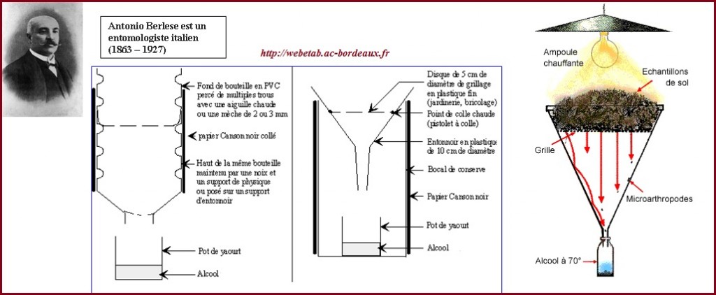 fabriquer son appareil de Berlèse | Vive les SVT ! Les sciences de la ...