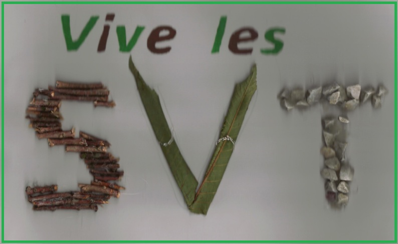 svt 6ème | Vive les SVT ! Les sciences de la vie et de la Terre au ...