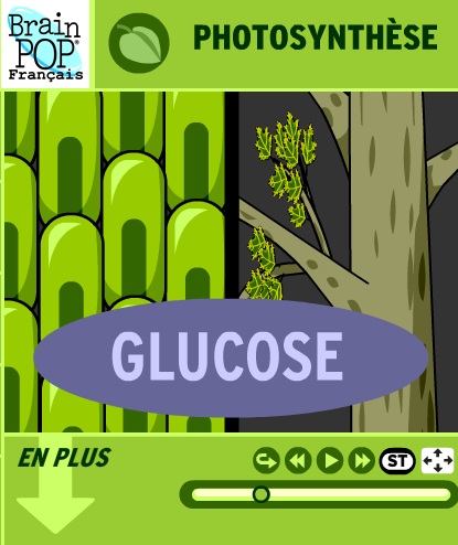 photosynthèse brainpop | Vive les SVT ! Les sciences de la vie et de la ...