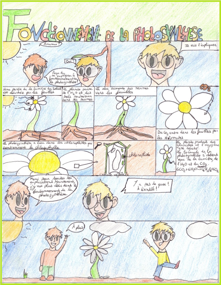 La photosynthèse en bande-dessinée | Vive les SVT ! Les sciences de la ...