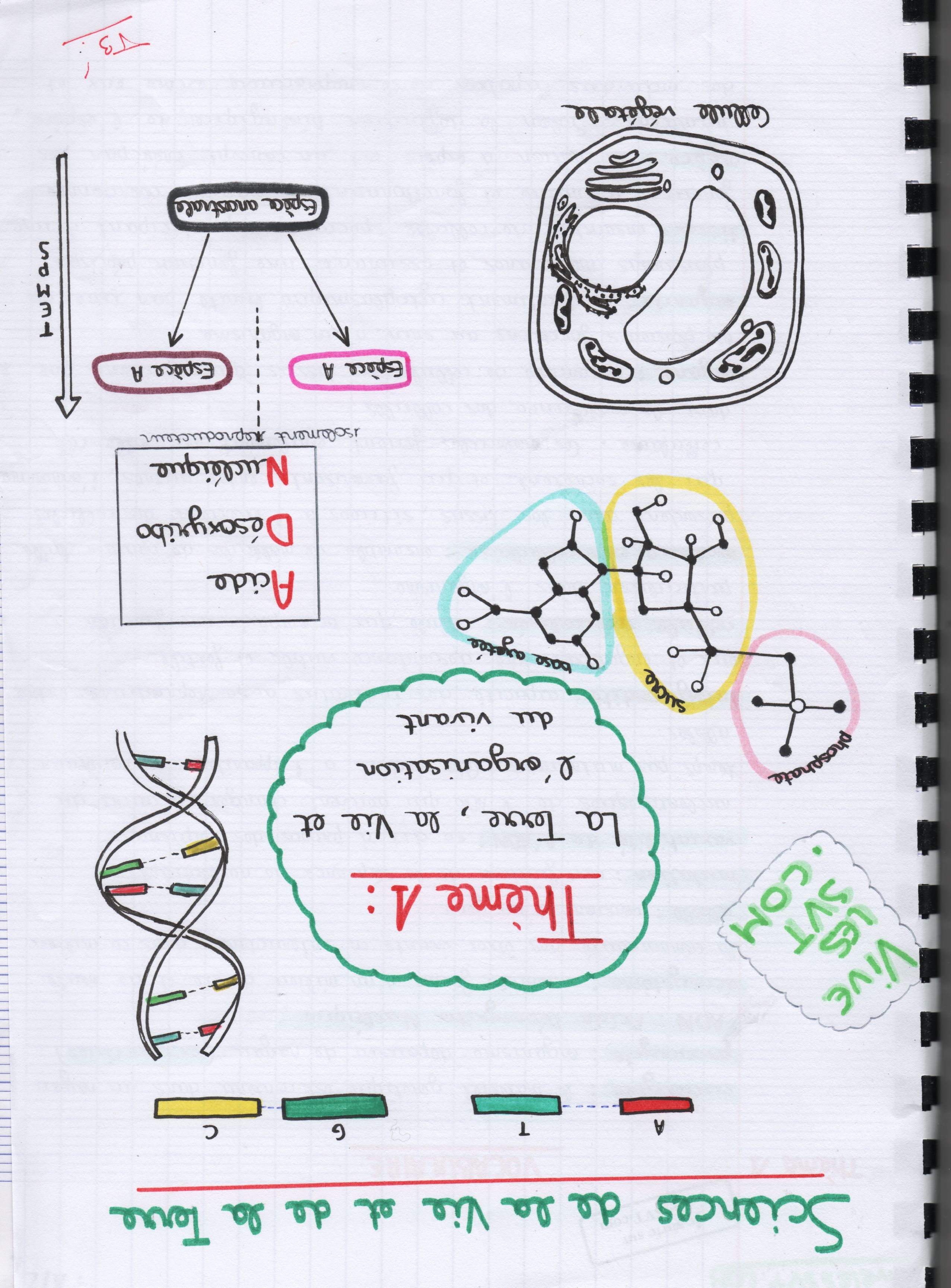 La Terre, la vie et l’organisation du vivant SVT 2nde (6) | Vive les ...