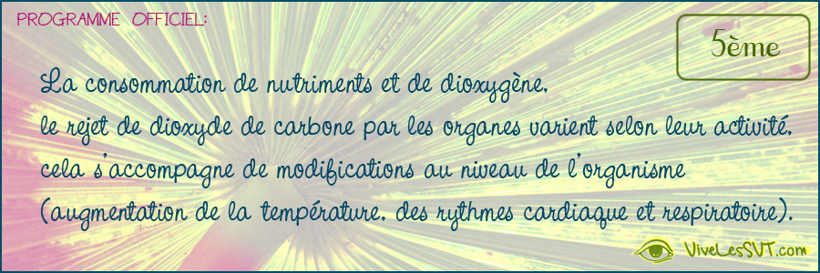 Programme officiel SVT 5ème – LE BO – | Vive les SVT ! Les sciences de ...