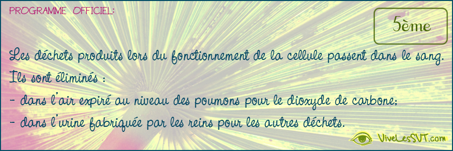 Programme officiel SVT 5ème – LE BO – | Vive les SVT ! Les sciences de ...