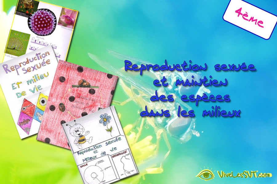 Les SVT en 4ème | Vive les SVT