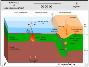 subduction et accrétion océanique | Vive les SVT ! Les sciences de la ...