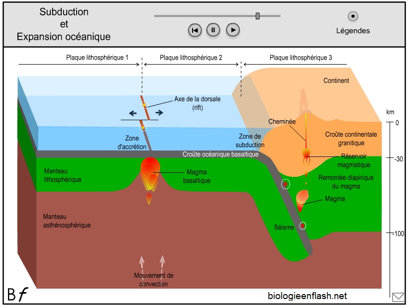 Le magmatisme en zone de subduction - Bac S SVT | Vive les SVT