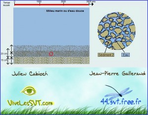 animation sédimentation SVTvivelessvt | Vive les SVT ! Les sciences de ...
