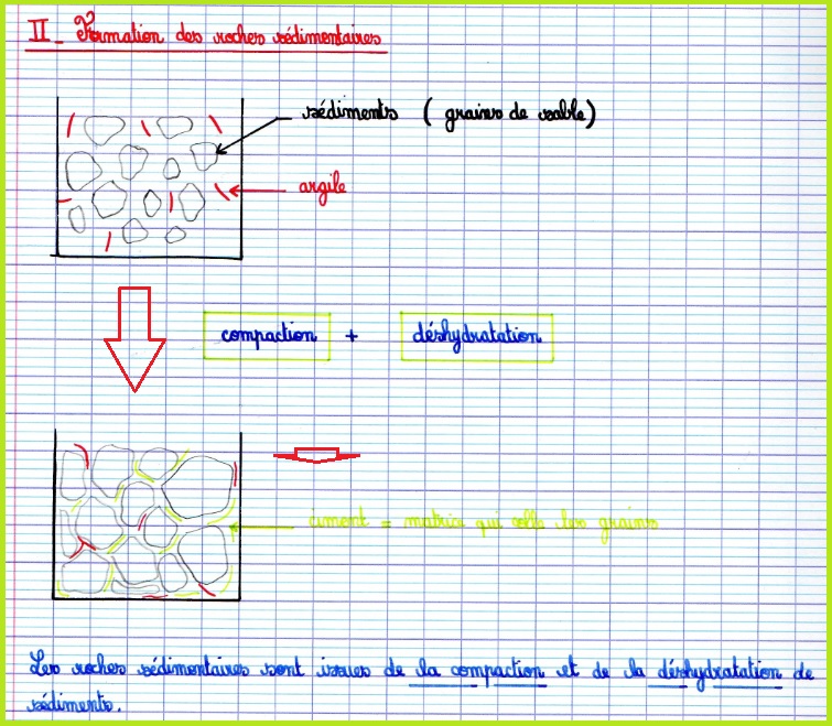 Formation de roches sédimentaires et fossilisation - Cours de SVT 5ème ...