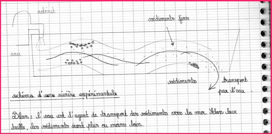 Formation de roches sédimentaires et fossilisation - Cours de SVT 5ème ...