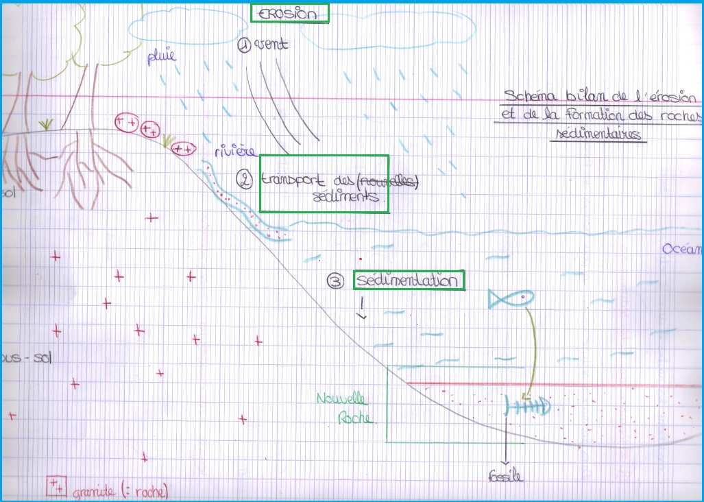 Formation de roches sédimentaires et fossilisation - Cours de SVT 5ème ...
