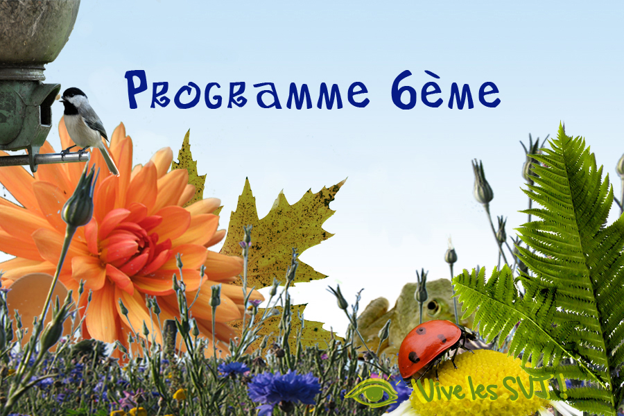 Programmes des SVT au collège | Vive les SVT ! Les sciences de la vie ...