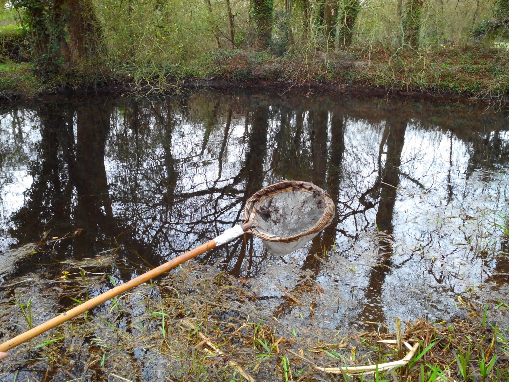 écosystème mare Bretagne Vivante SVT | Vive les SVT ! Les sciences de ...