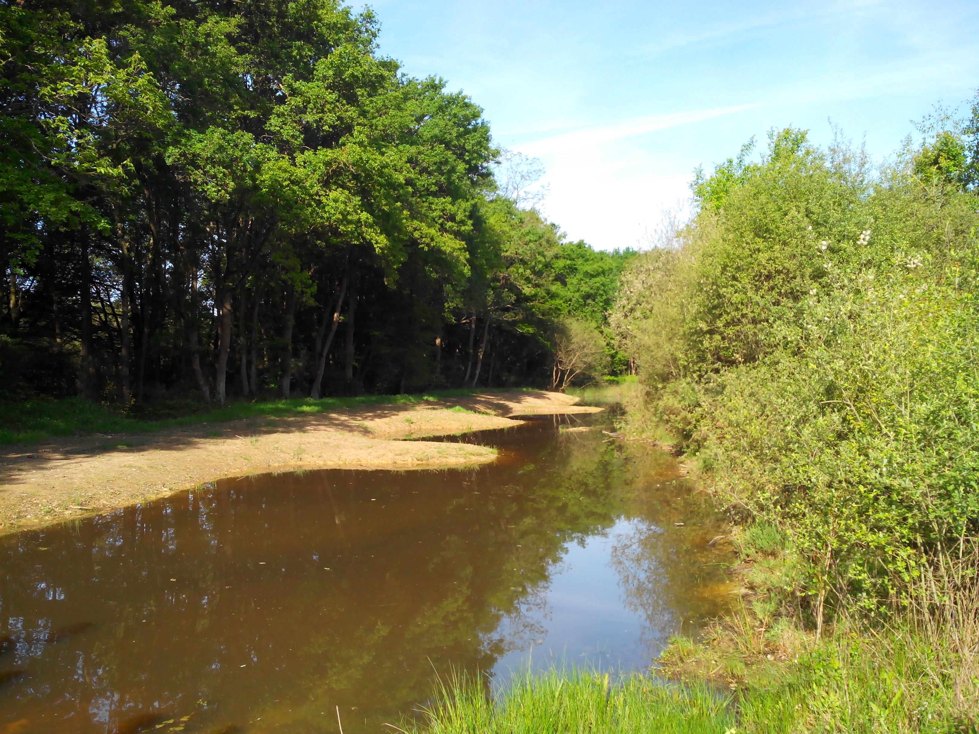 Découverte de l'écosystème Mare | Vive les SVT ! Les sciences de la vie ...