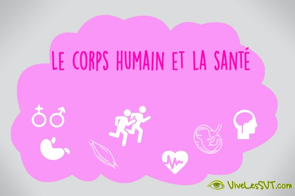 Les SVT en 5ème | Vive les SVT ! Les sciences de la vie et de la Terre ...