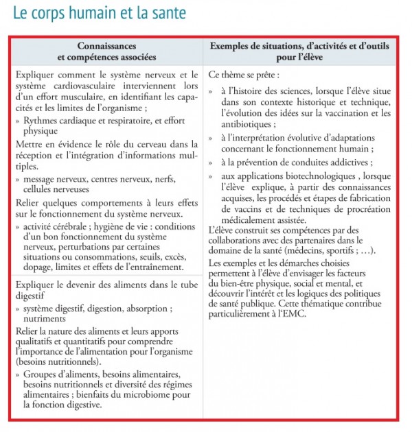 corps humain santé SVT digestion système nerveux nouveaux programmes ...
