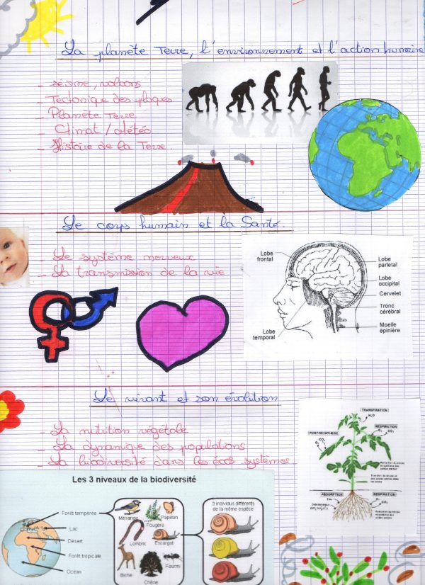 Programme SVT 5ème 4ème 3ème collège cycle 4 (1) | Vive les SVT ! Les ...