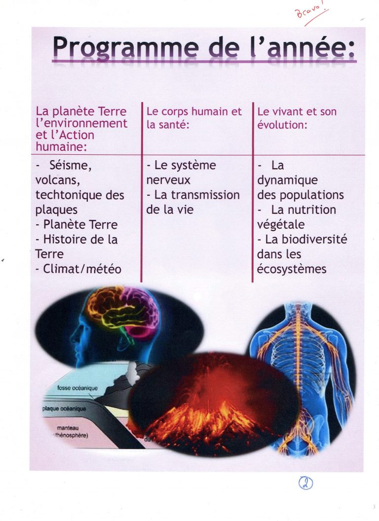 Programme SVT 5ème 4ème 3ème collège cycle 4 (2) | Vive les SVT ! Les ...