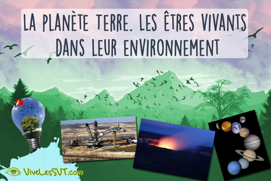 Les SVT en 6ème | Vive les SVT ! Les sciences de la vie et de la Terre ...