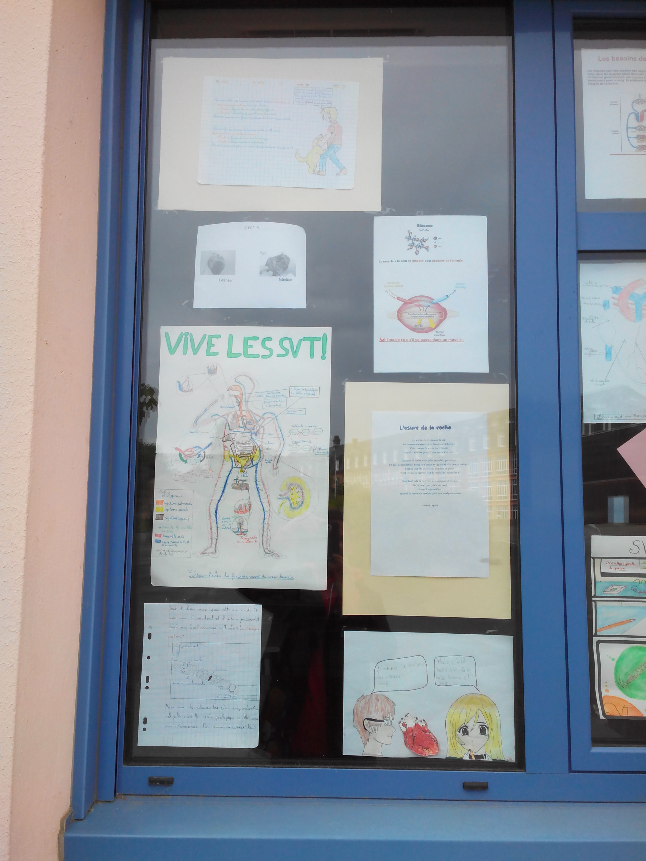 un an de SVT collège Assomption Rennes classe de 5ème (19) | Vive les ...