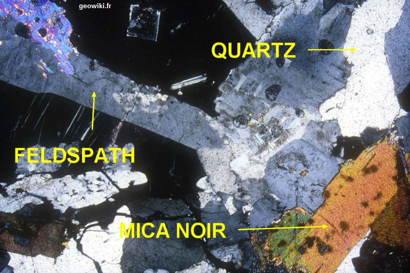Chapitre 1 : la mobilité des continents | Vive les SVT
