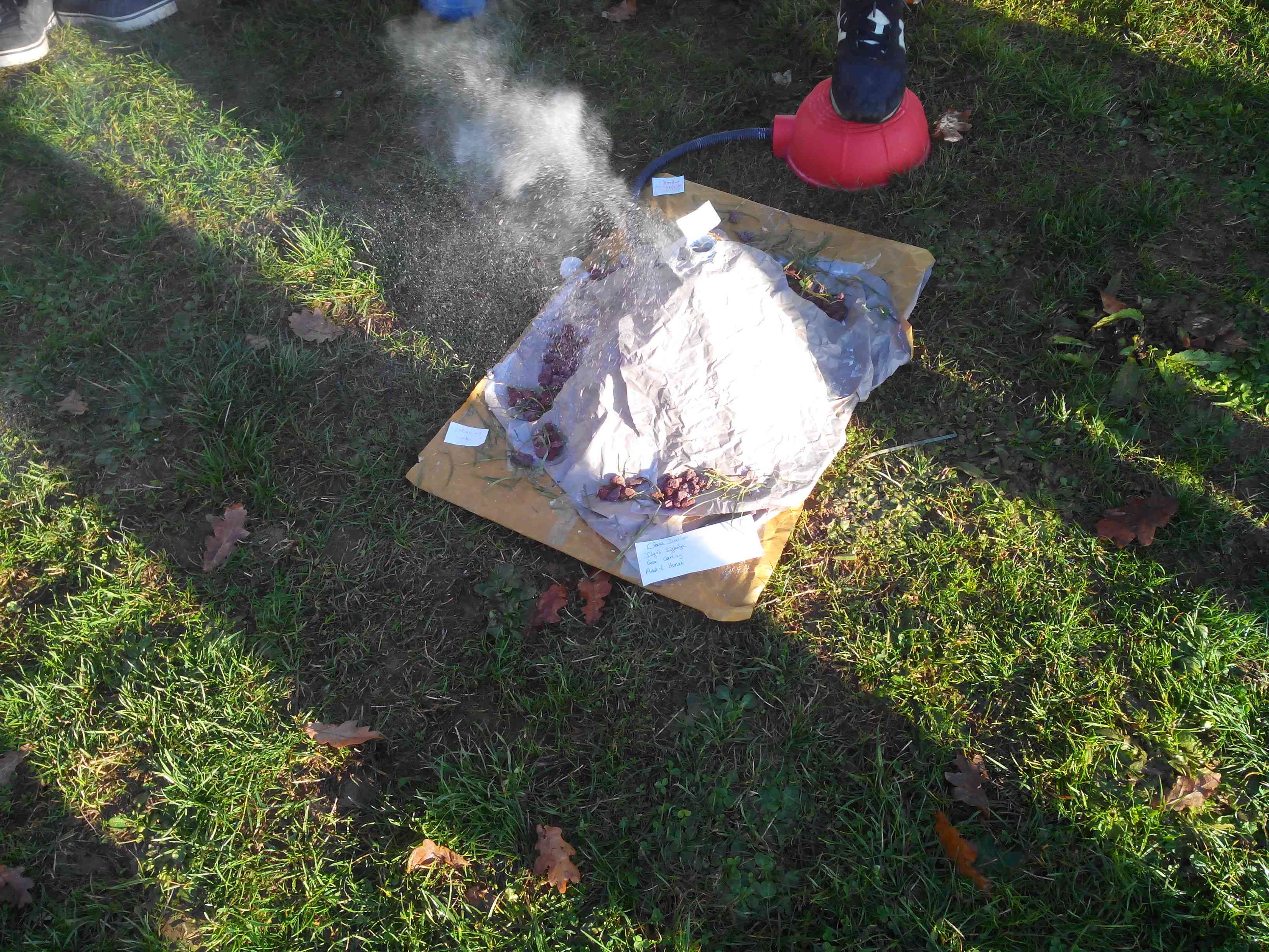 Volcans 2016 au collège : effusif ou explosif ? | Vive les SVT ! Les ...