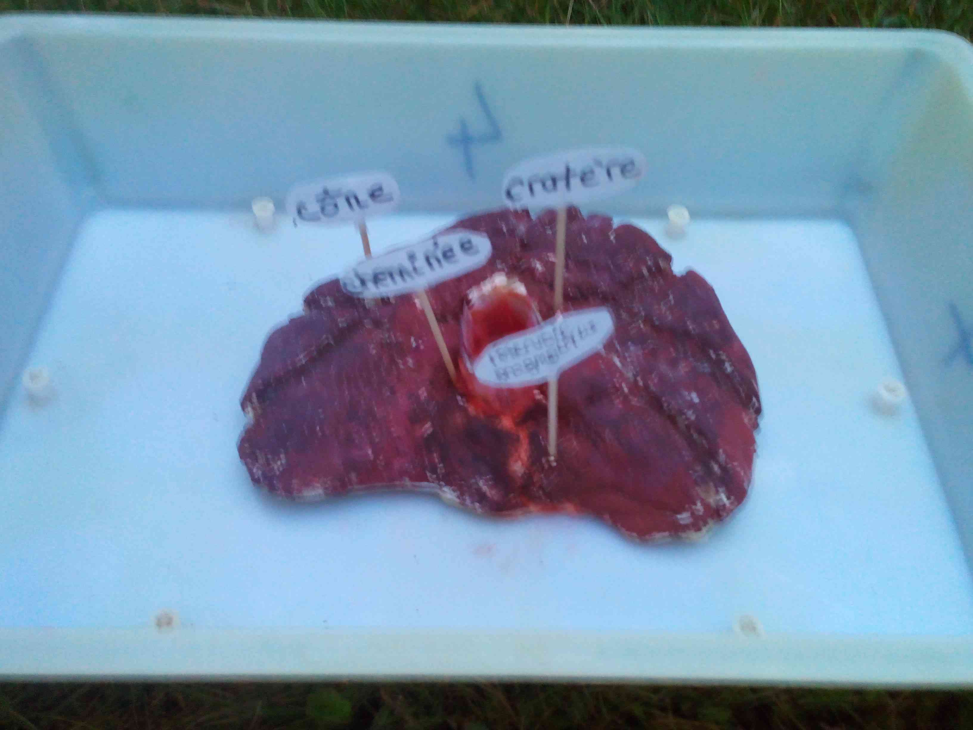 Volcans 2016 au collège : effusif ou explosif ? | Vive les SVT ! Les ...