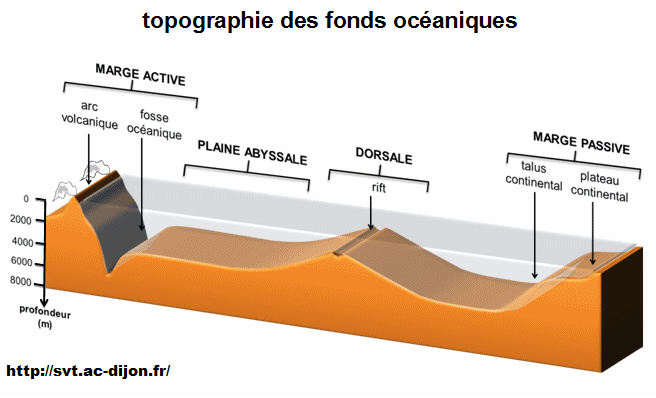 topographie-des-fonds-oceaniques | Vive les SVT ! Les sciences de la ...