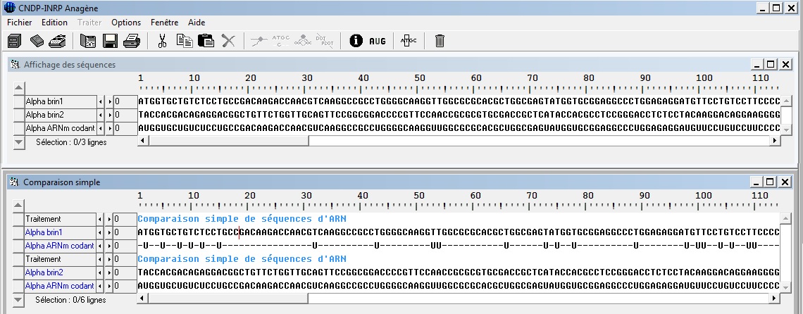 L'expression du patrimoine génétique - 1ère spécialité SVT | Vive les ...