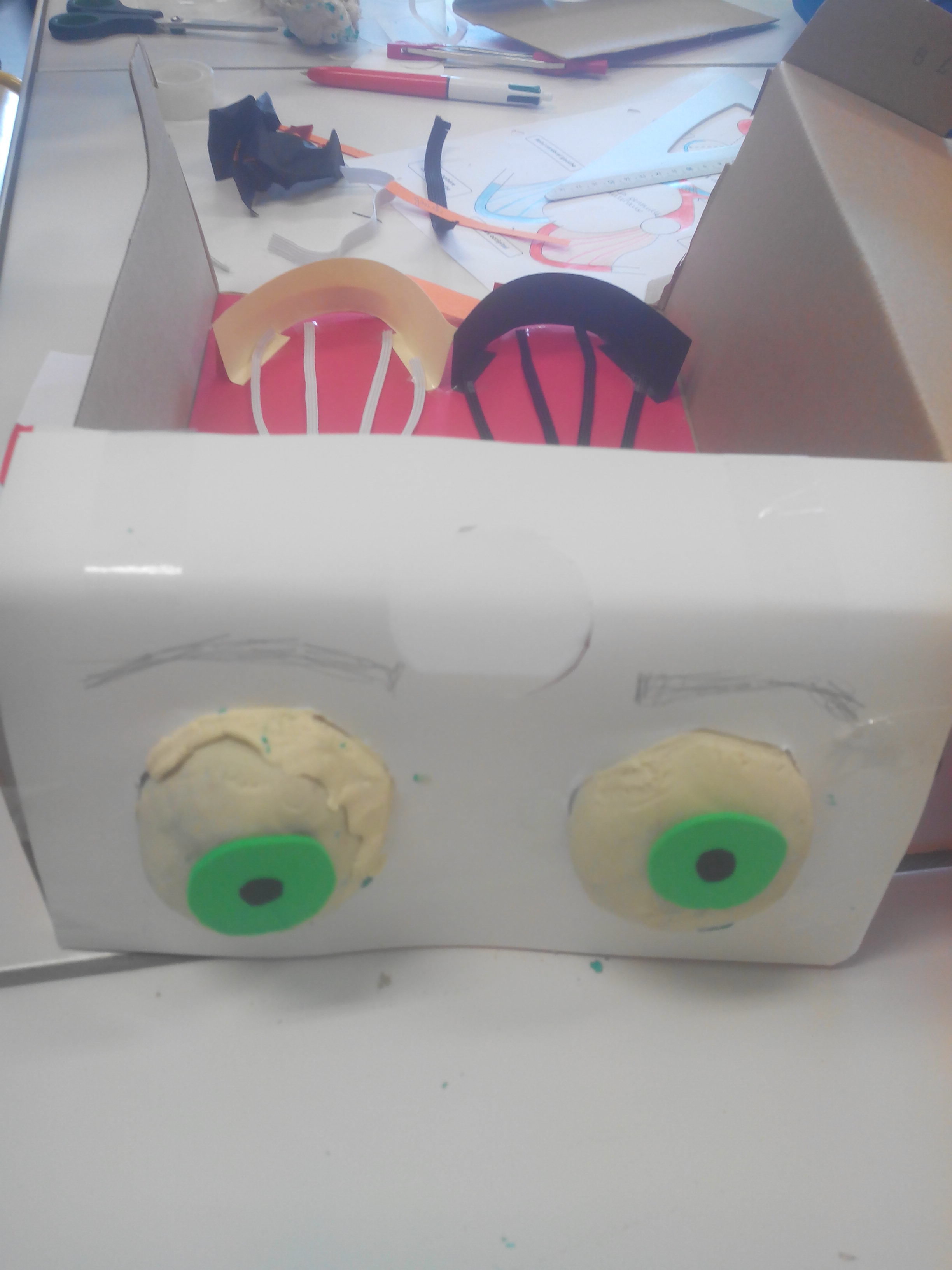 Voies et aires visuelles SVT vision modélisation cerveau (3) | Vive les ...