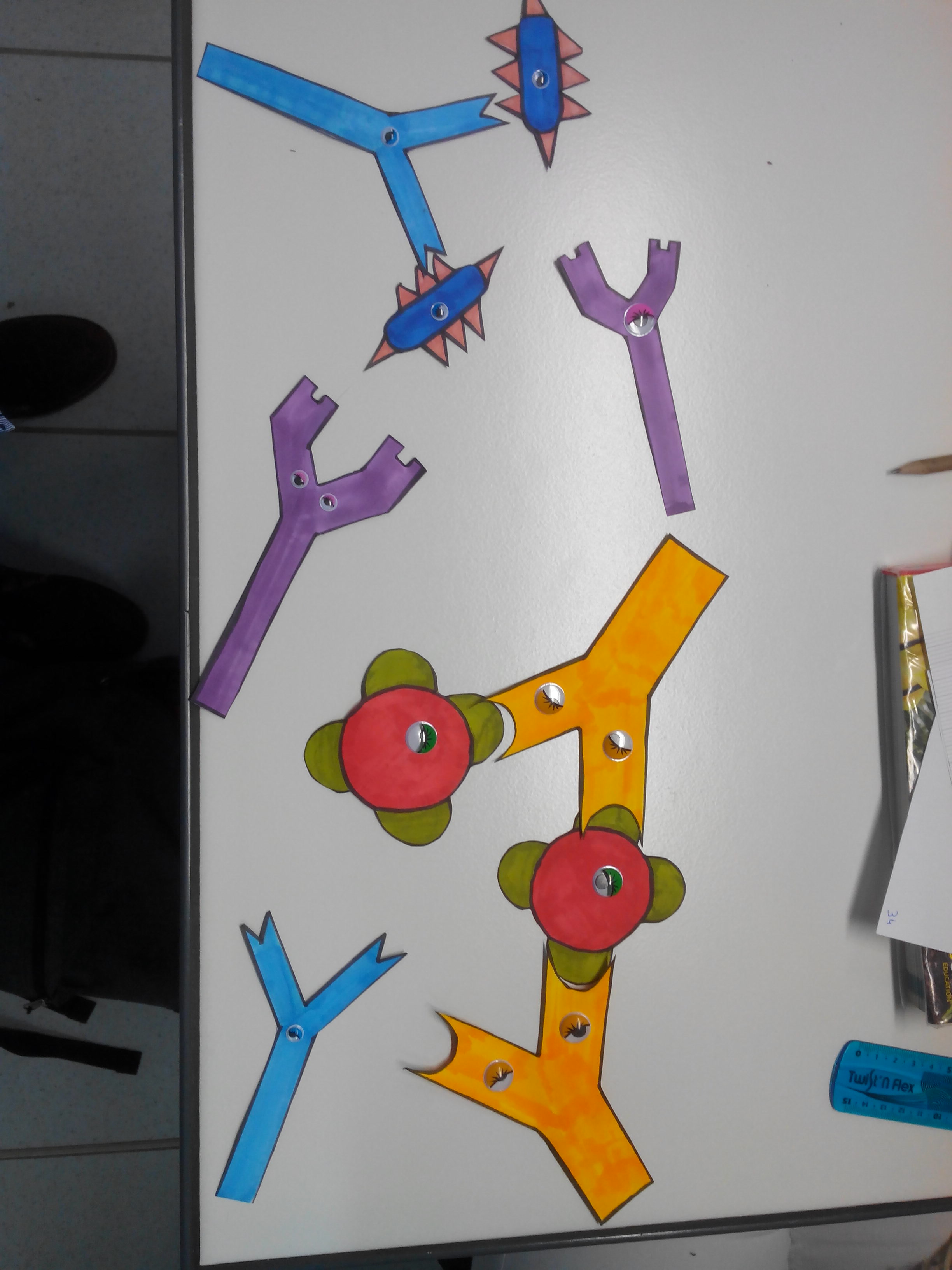 Maquettes anticorps antigène SVT complexe immun réaction immunitaire ...