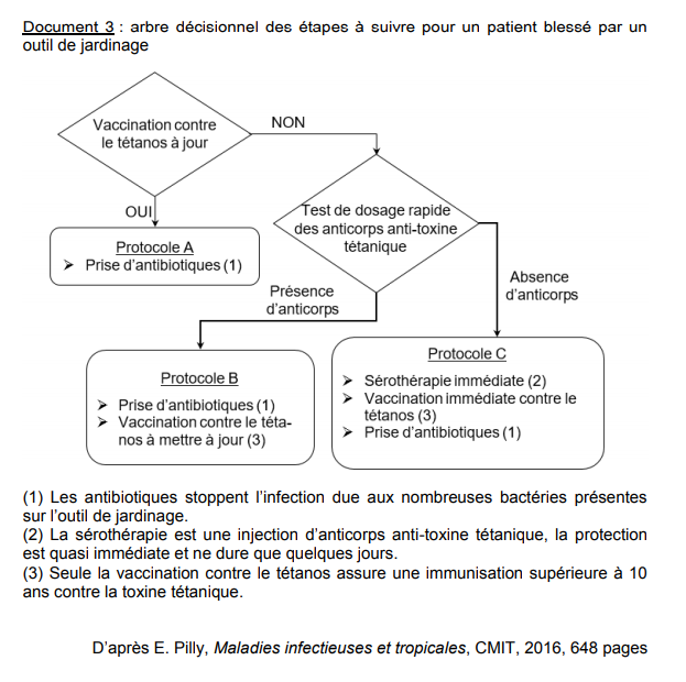 Sujet DNB SVT – métropole 2018 | Vive les SVT ! Les sciences de la vie ...