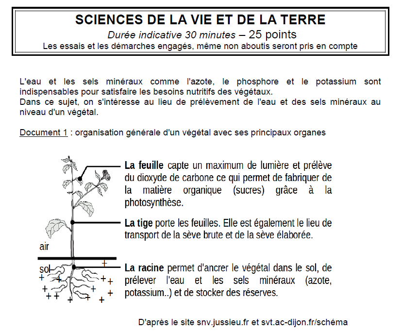 Sujet de SVT au brevet des collèges | Vive les SVT ! Les sciences de la ...