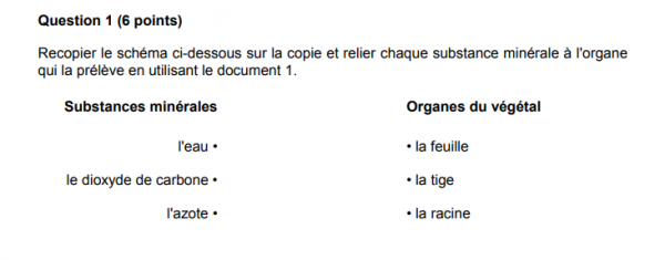 SUjet DNB SVT 2019 métropole brevet des collèges (2) | Vive les SVT ...