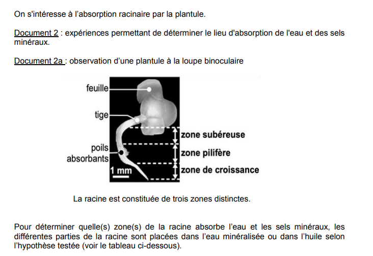 Sujet de SVT au brevet des collèges | Vive les SVT ! Les sciences de la ...
