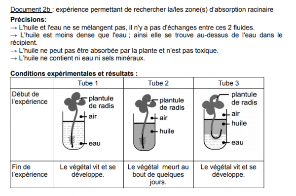 SUjet DNB SVT 2019 métropole brevet des collèges (4) | Vive les SVT ...