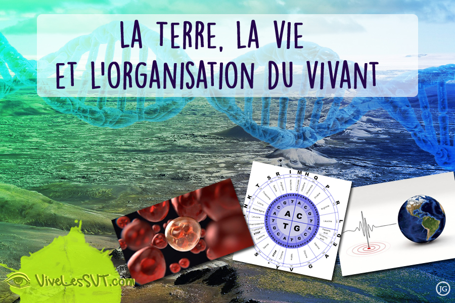 Programme de 1ère spécialité SVT – Cours en ligne | Vive les SVT ! Les ...