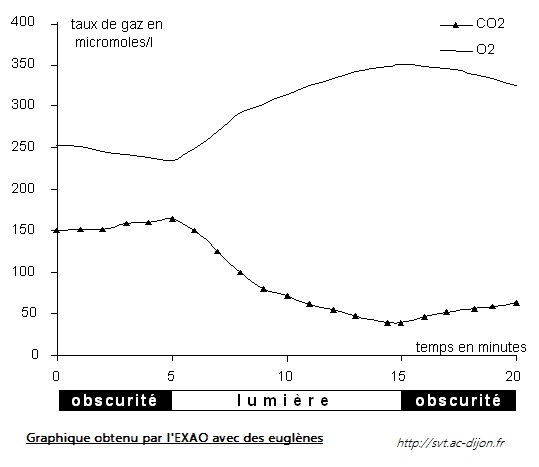 chapitre 2 : Le métabolisme des cellules | Vive les SVT