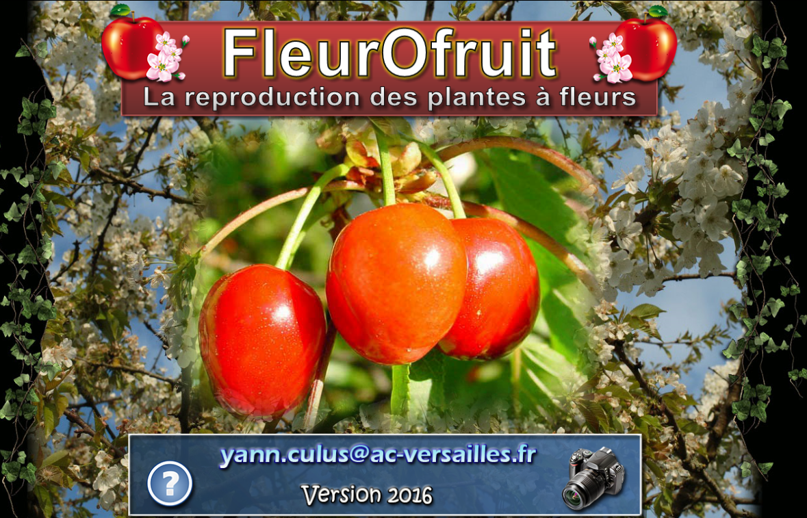 TP à la maison : dissection de fleurs | Vive les SVT