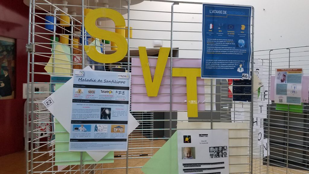 Téléthon SVT affiches maladies génétiques (1) | Vive les SVT ! Les ...