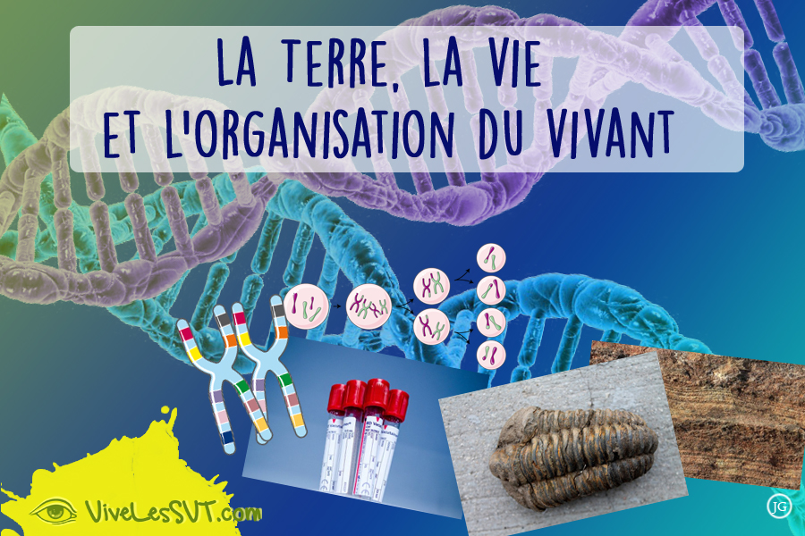 Programme de spécialité SVT en classe de terminale | Vive les SVT ! Les ...