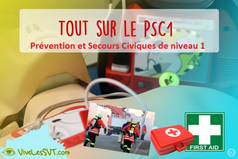 Prévention et secours civiques de niveau 1 – Ressources PSC1 | Vive les SVT ! Les sciences de la ...